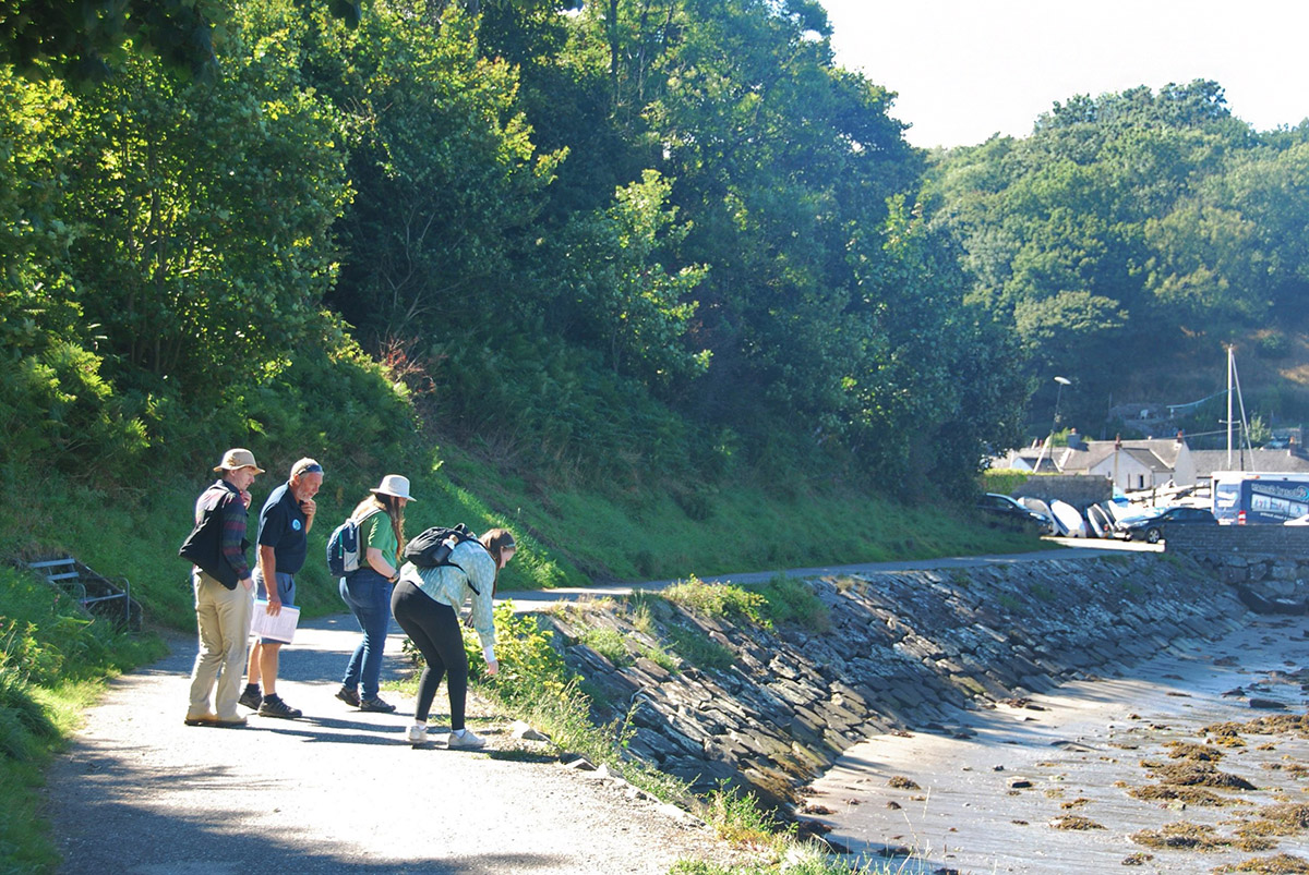 Scenic Walking Tour - North Pembrokeshire Tours